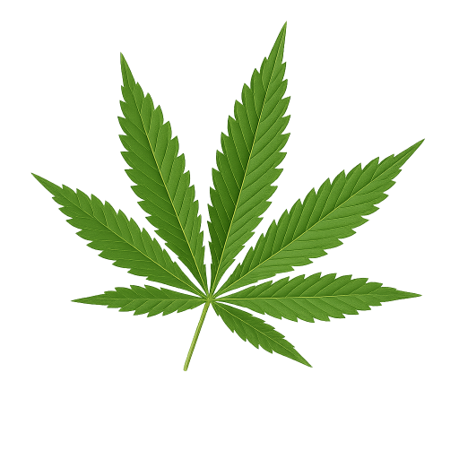 Call (850) 320-8844‬ for help with Marijuana License Appeals in the ...